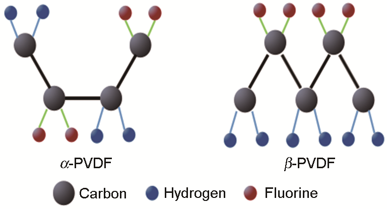 多尺度功能性填料 PVDF 基纳米复合材料的制备和性能